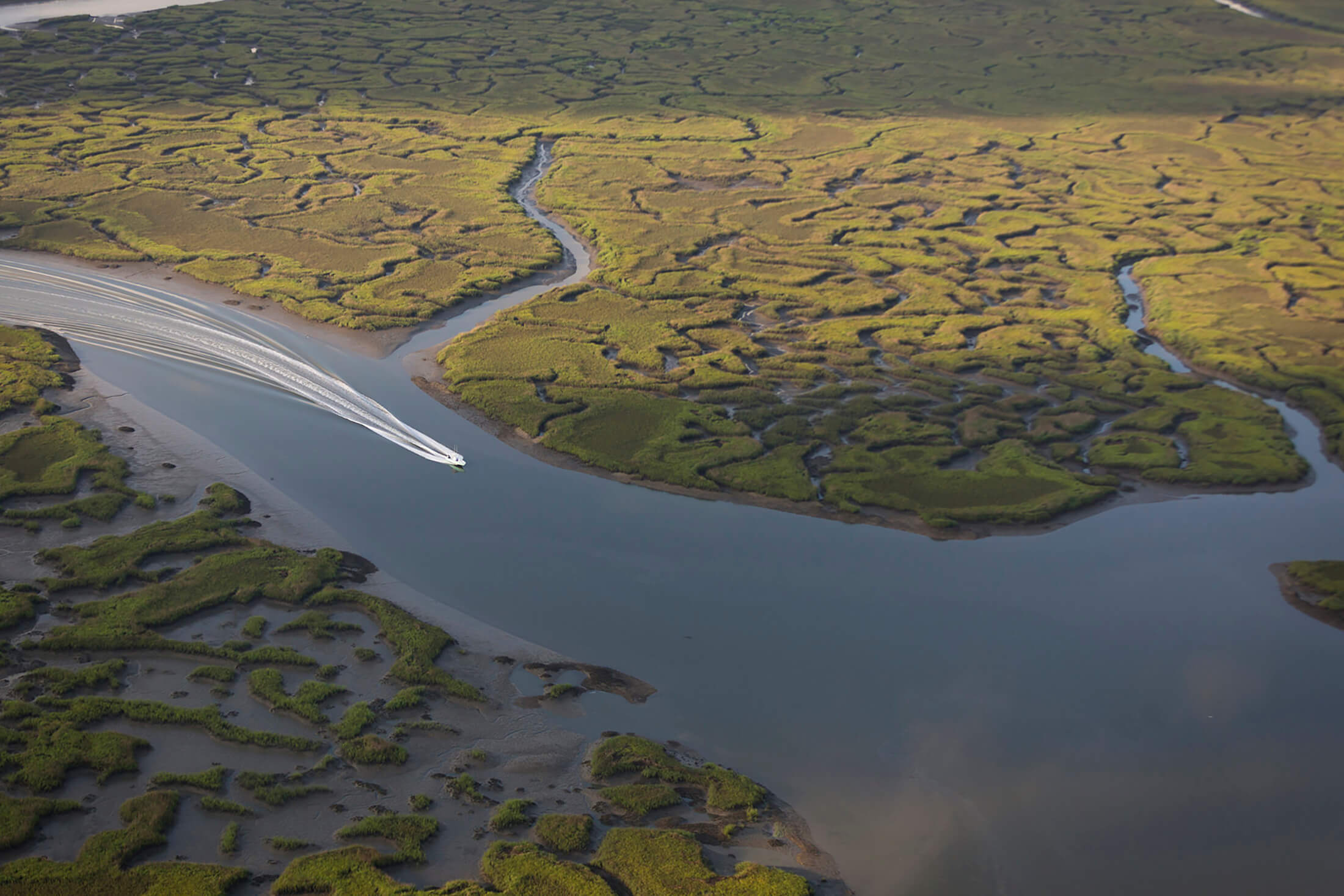 Salt Marsh Nature and Dolphin Tour | Sea Island Resort