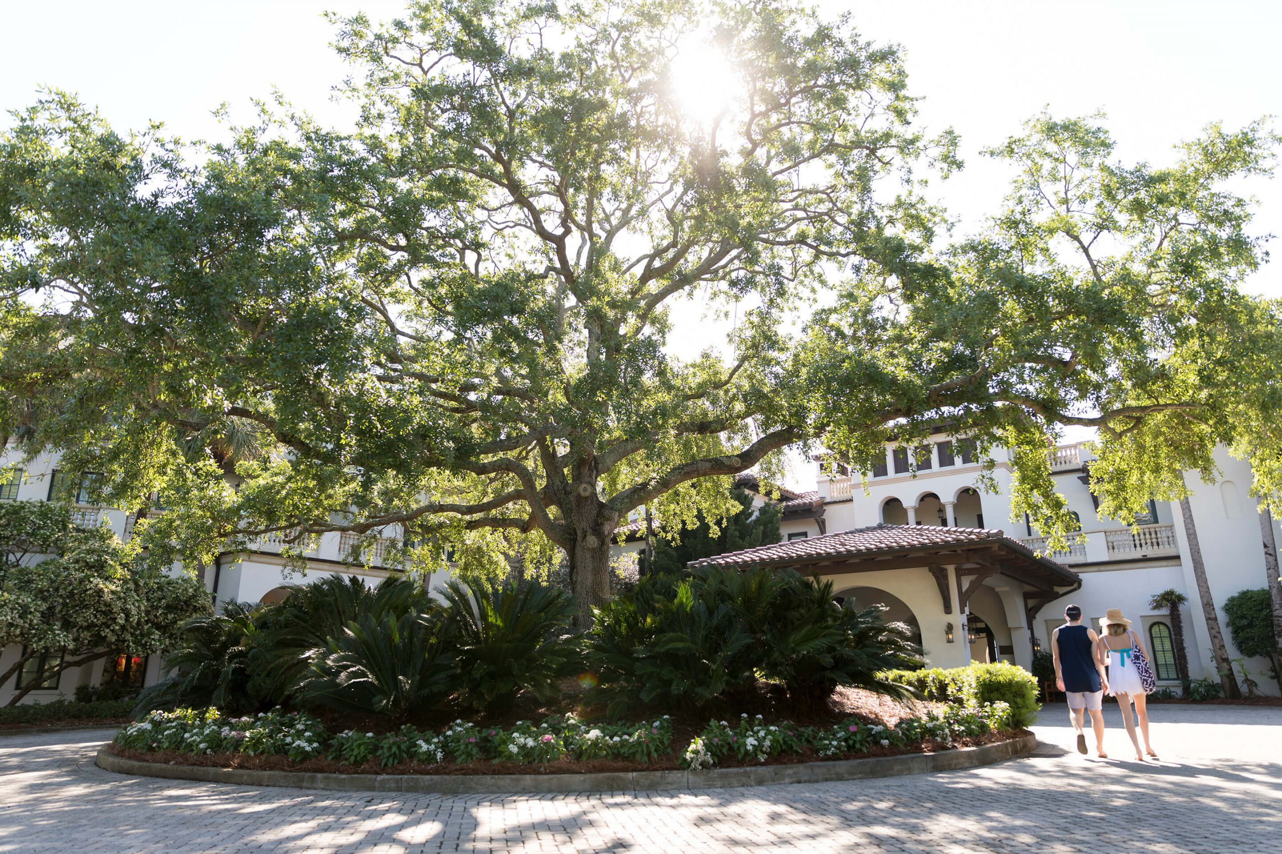 Beach Club & Pool | Casual Cuisine | Sea Island Resort