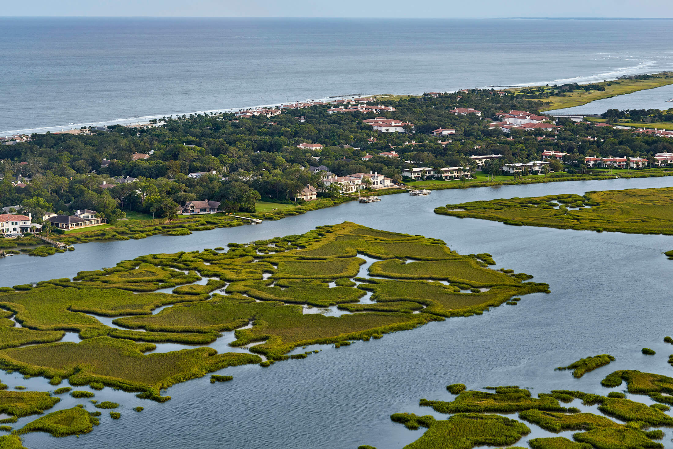 Private Salt Marsh Nature and Dolphin Tour | Sea Island Resort