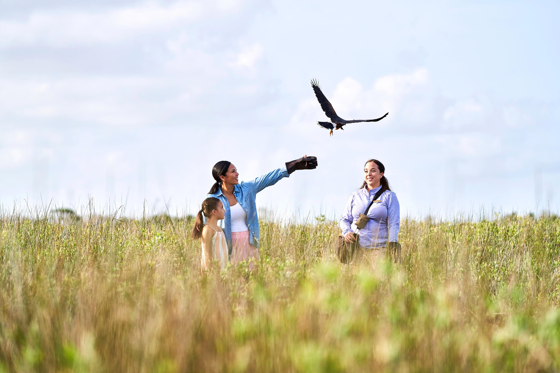 Hawk Walk | Sea Island Resort