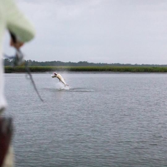 Special Events | Sea Island Resort