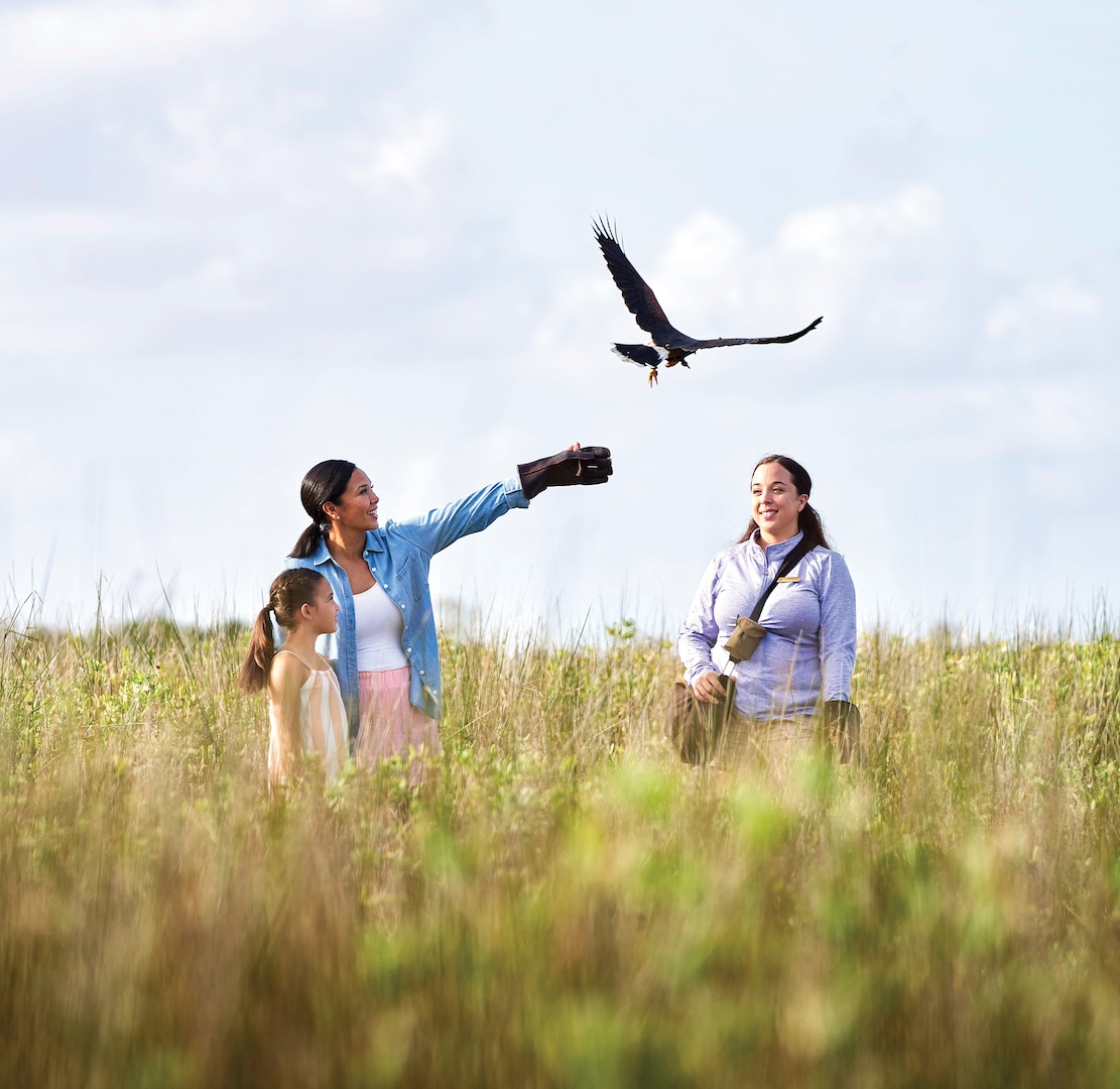 Vitamin Sea | Sea Island Resort