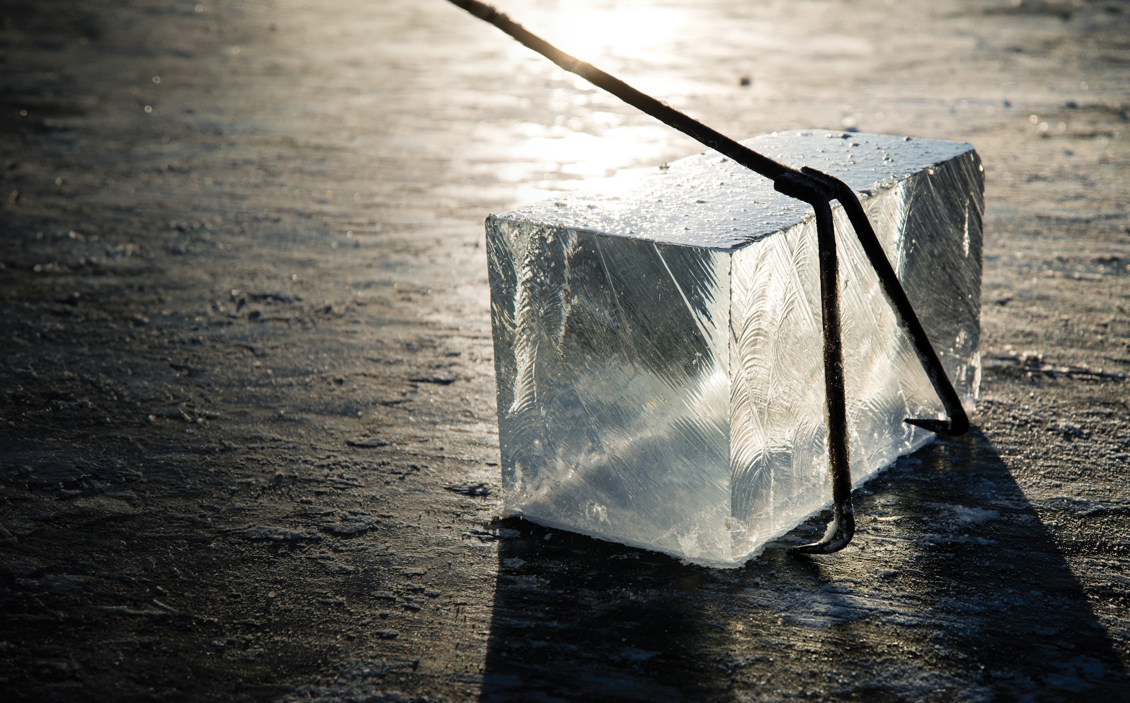 Modern Ice Age | Sea Island Resort