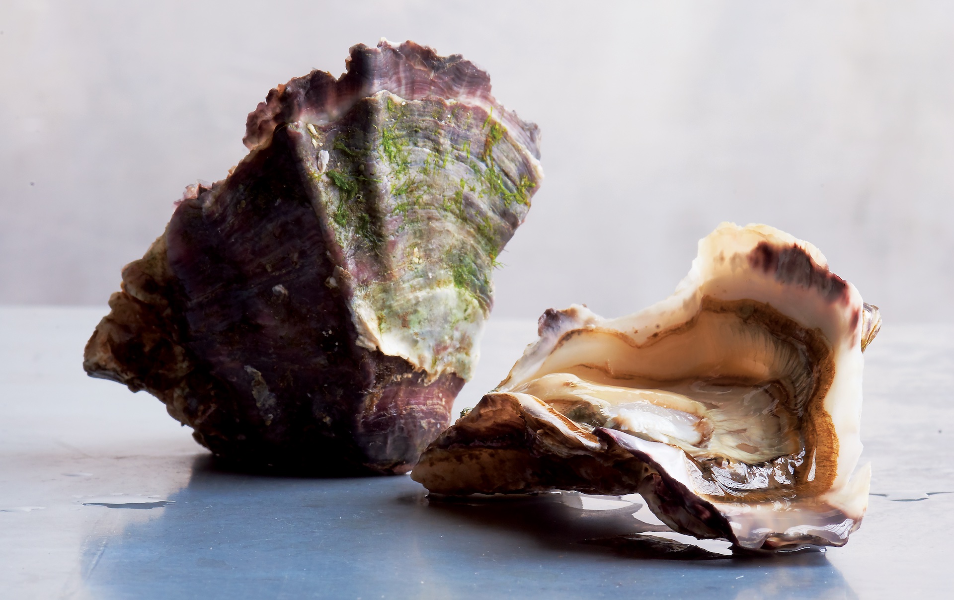 Bubbles & Bivalves | Sea Island Resort
