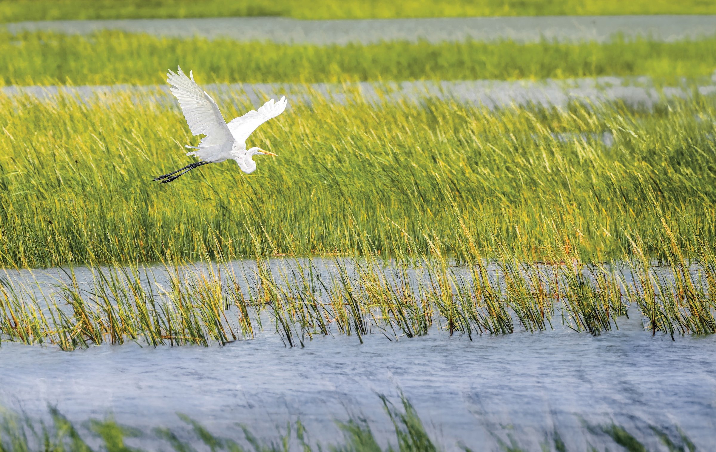 Restorative Rhythms | Sea Island Resort